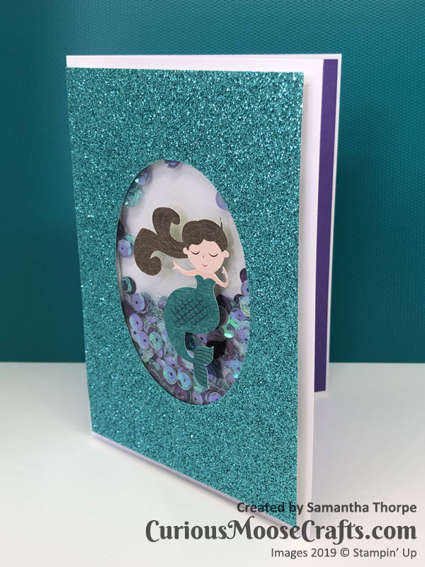 Shaker Cards – 1st Attempt! – Curious Moose Crafts