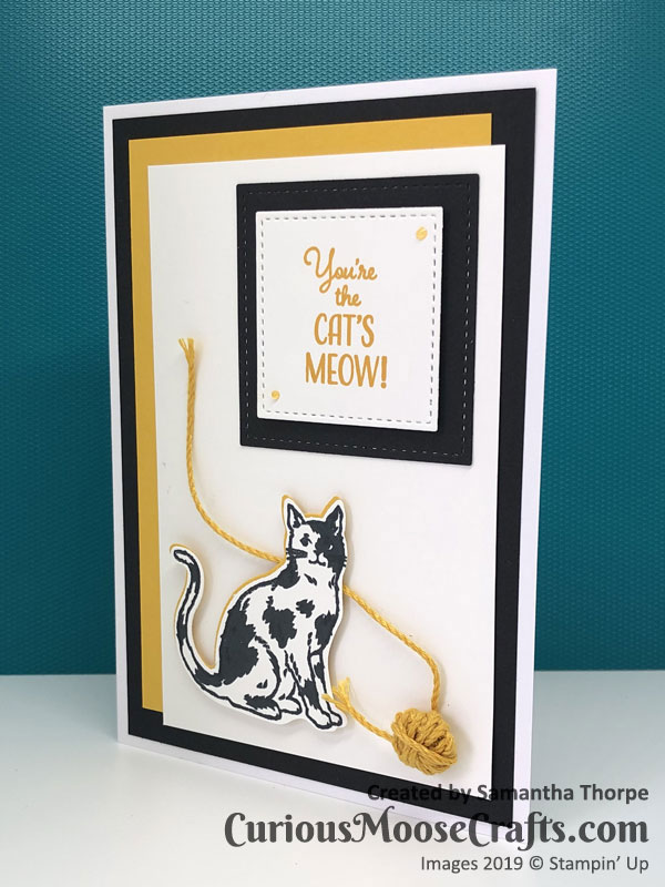 Cat Birthday Card – Curious Moose Crafts