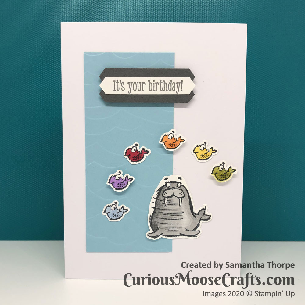 Walrus Week – Day 2 and 3! – Curious Moose Crafts
