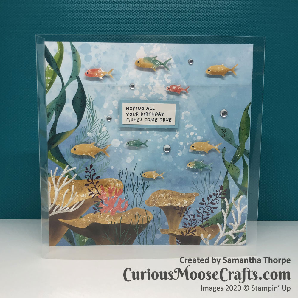 Birthday Fishes – Fish Tank Cards – Curious Moose Crafts