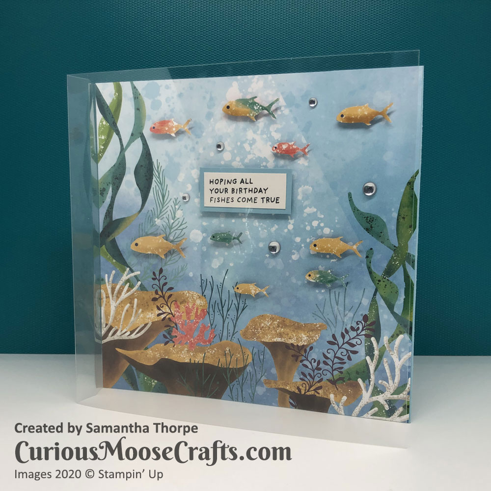 Birthday Fishes – Fish Tank Cards – Curious Moose Crafts