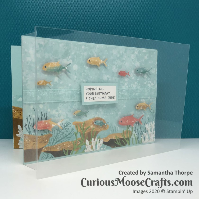 Birthday Fishes – Fish Tank Cards – Curious Moose Crafts