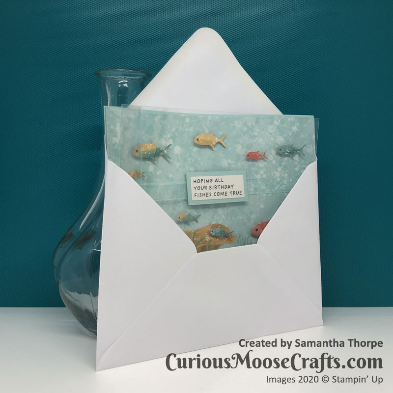 Birthday Fishes – Fish Tank Cards – Curious Moose Crafts