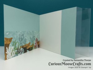 Birthday Fishes – Fish Tank Cards – Curious Moose Crafts