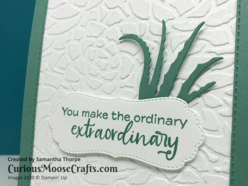 Paste Embossing with Simply Succulents – Curious Moose Crafts