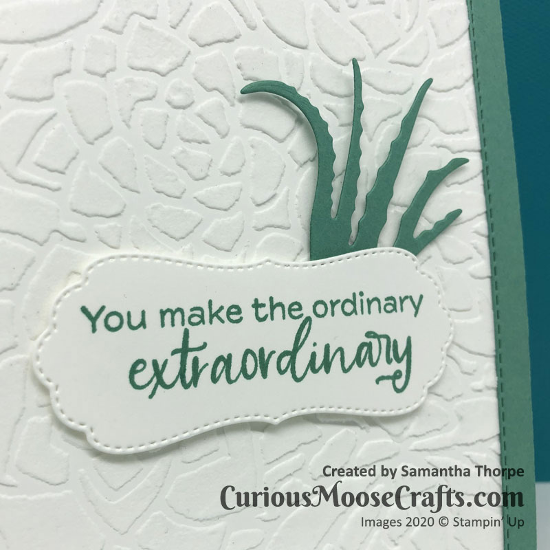 Paste Embossing with Simply Succulents – Curious Moose Crafts