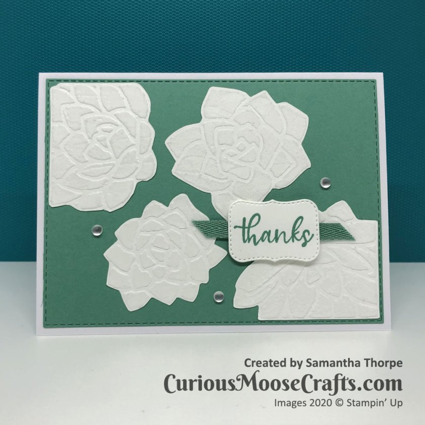 Paste Embossing with Simply Succulents – Curious Moose Crafts