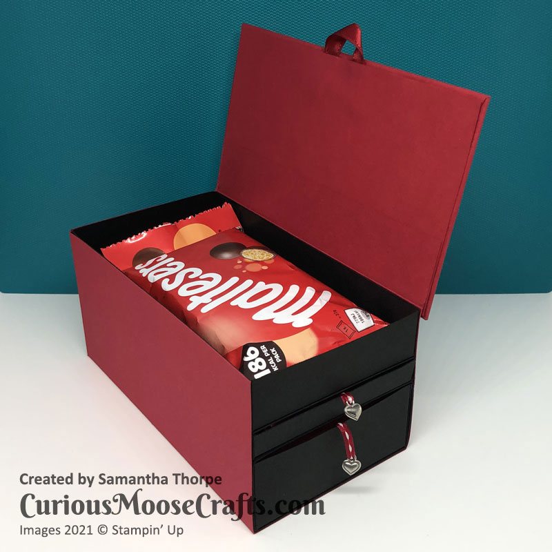 Playful Pets Malteaser Treat Box – Curious Moose Crafts