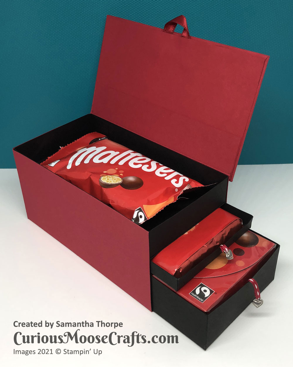 Playful Pets Malteaser Treat Box – Curious Moose Crafts