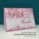 Expressions In Ink Stepped Up Cards – Curious Moose Crafts