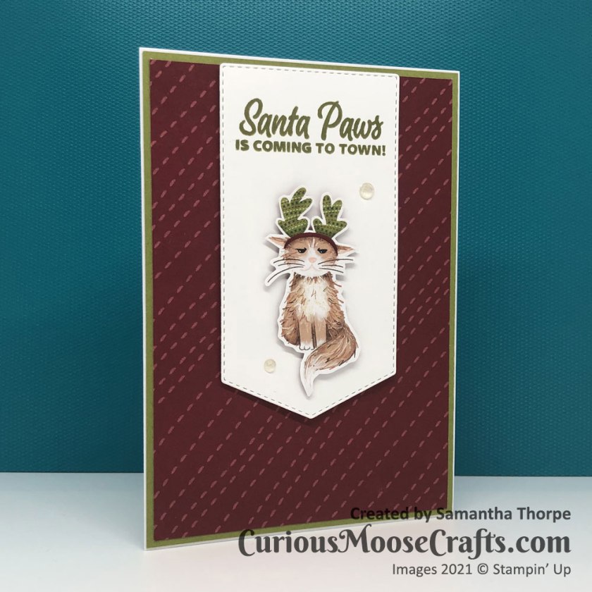 Santa Paws: Grumpy Cats and a Happy Pup Cards – Curious Moose Crafts