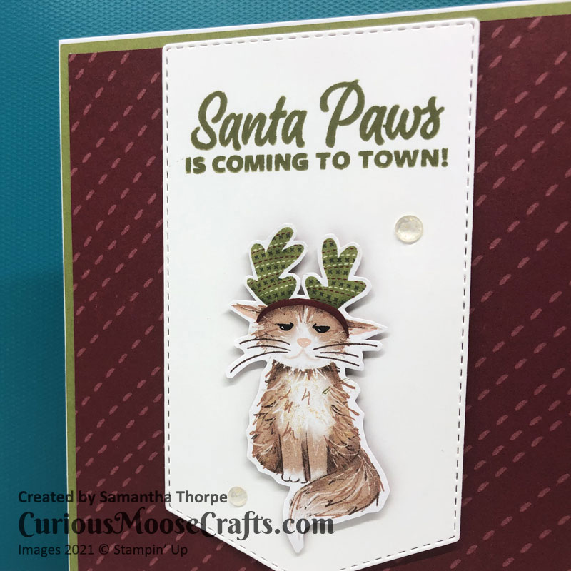 Santa Paws: Grumpy Cats and a Happy Pup Cards – Curious Moose Crafts