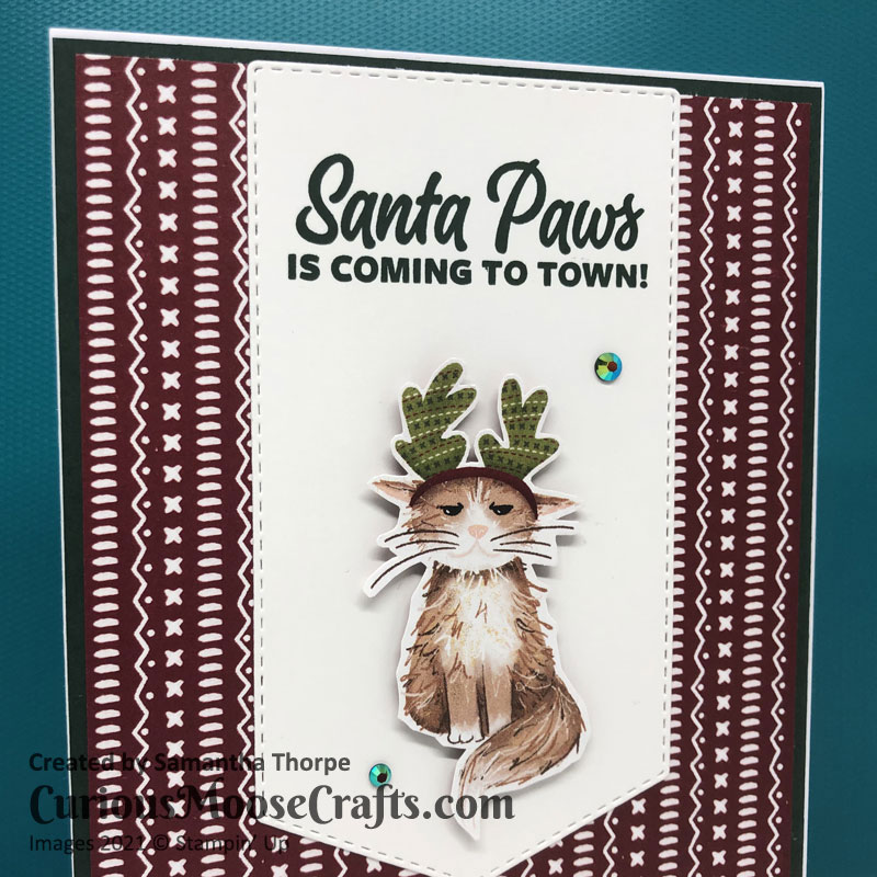 Santa Paws: Grumpy Cats and a Happy Pup Cards – Curious Moose Crafts
