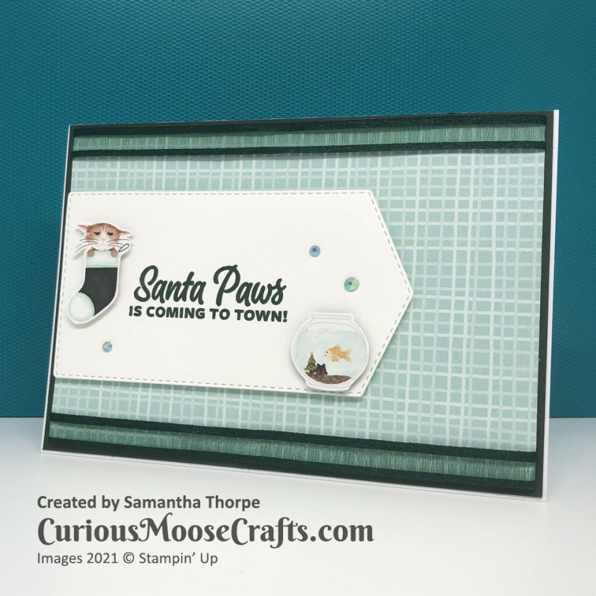 Santa Paws Pool Party Christmas Card – Curious Moose Crafts