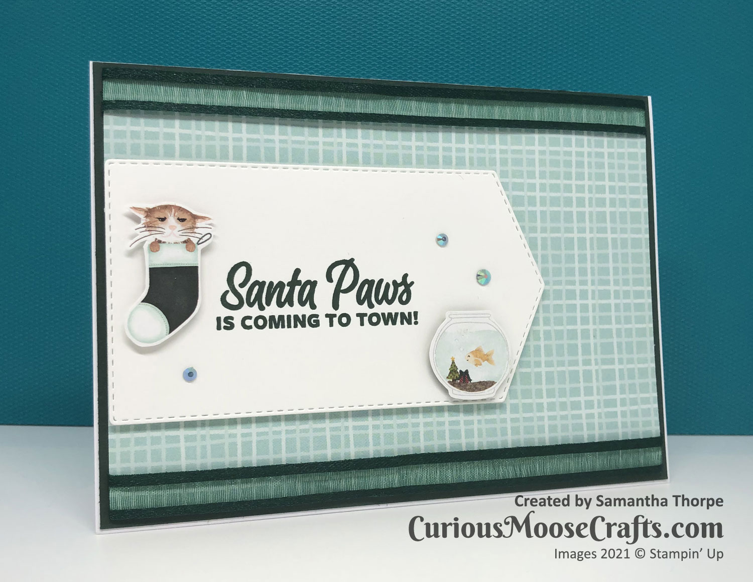 Santa Paws Pool Party Christmas Card – Curious Moose Crafts