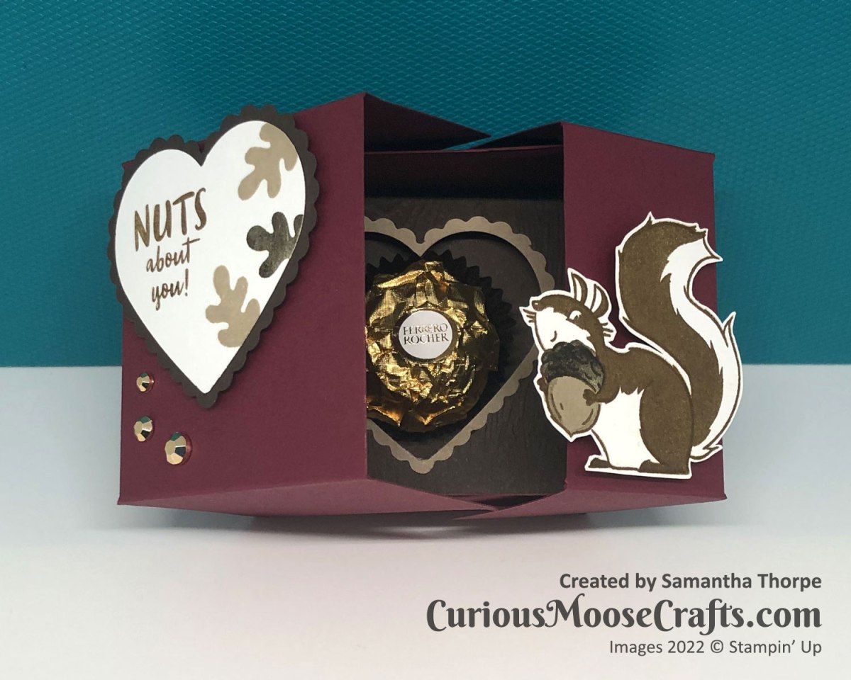 Nuts About You Valentine’s Squirrel Chocolate Box – Curious Moose Crafts